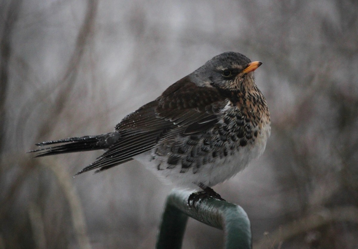 Time to see.. – Kevin Parr