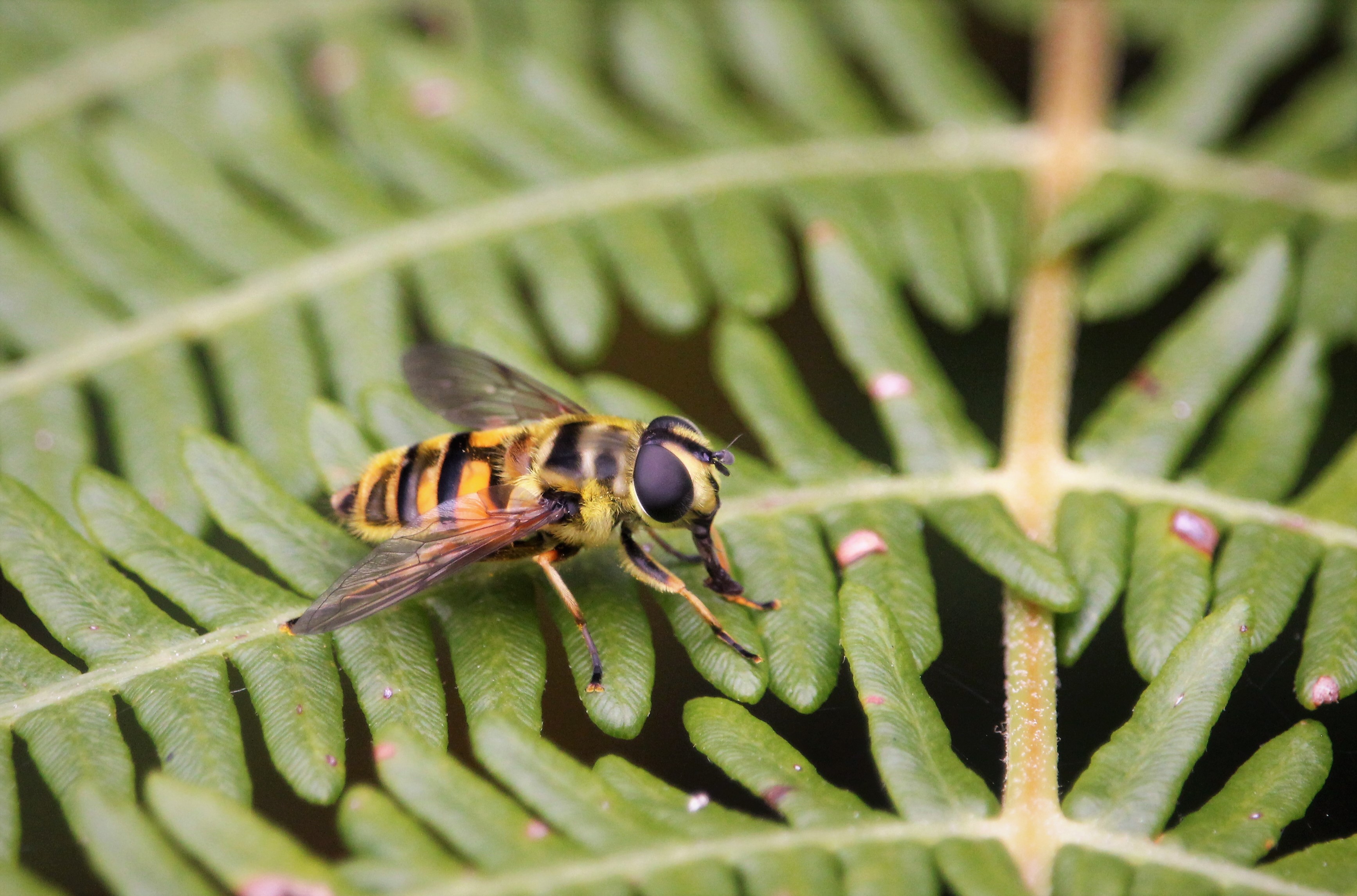 Quiet – Kevin Parr