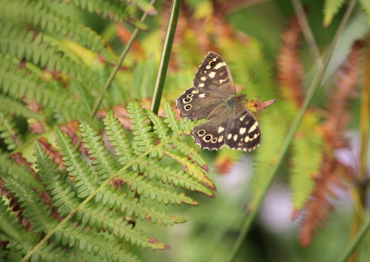 Quiet – Kevin Parr