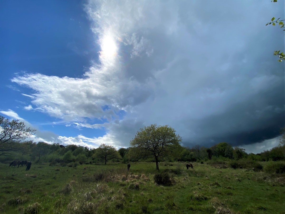 Slipping – Kevin Parr